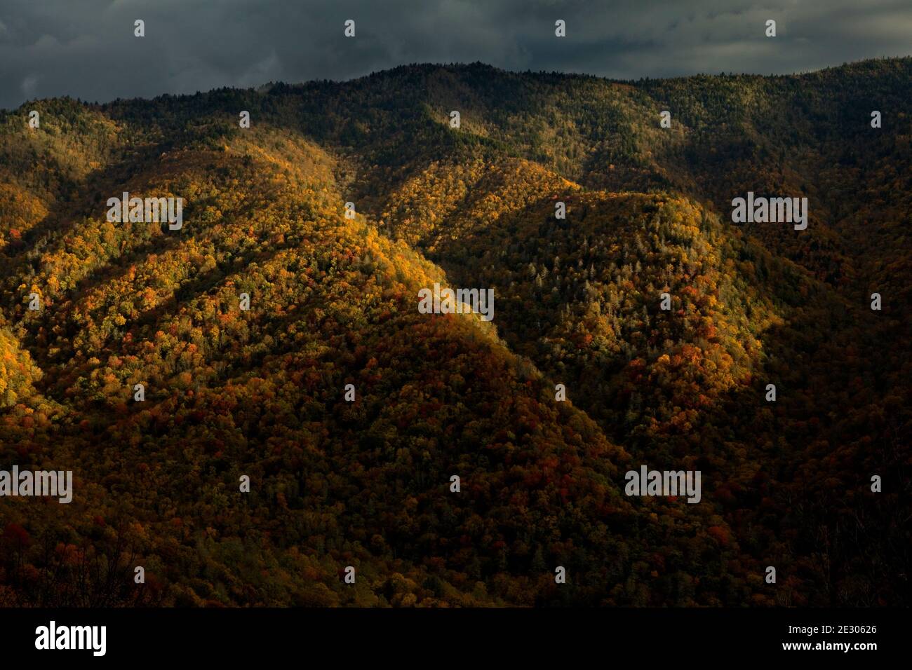 Gap in road hi-res stock photography and images - Alamy