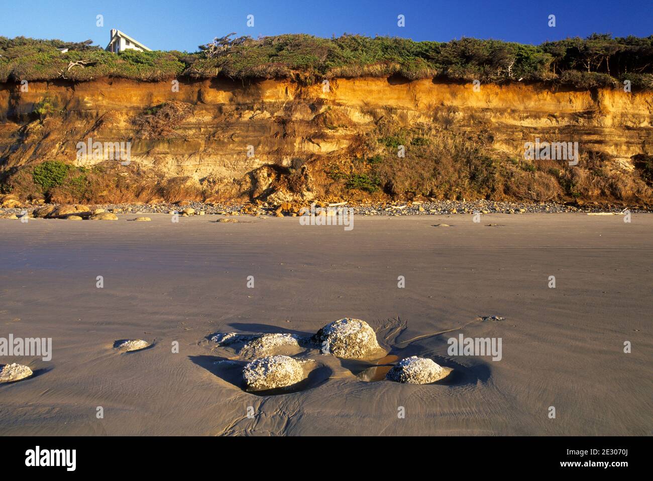 Beach cliff, Ona Beach State Park, Oregon Stock Photo - Alamy