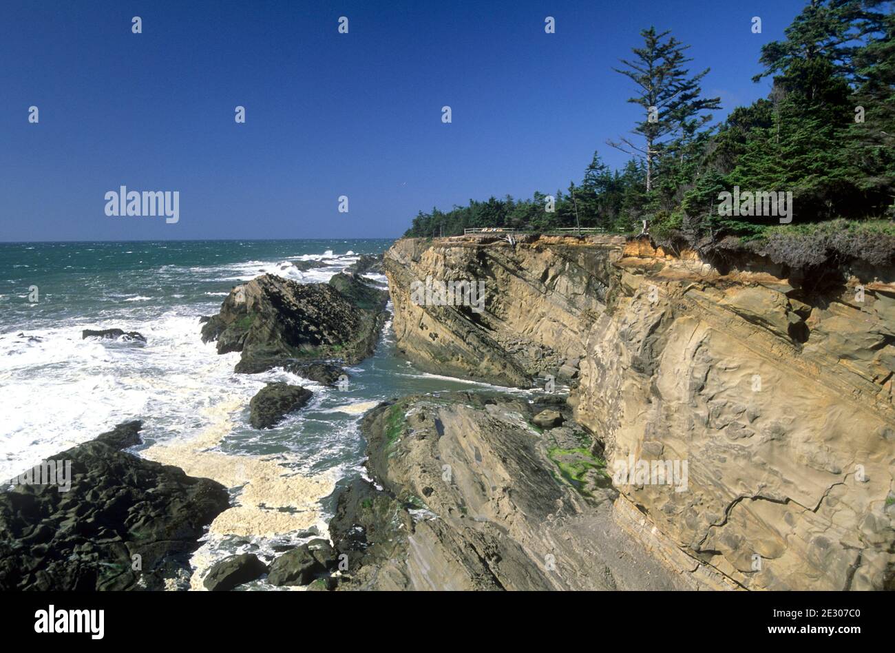 Coastal cliffs, Shore Acres State Park, Oregon Stock Photo - Alamy