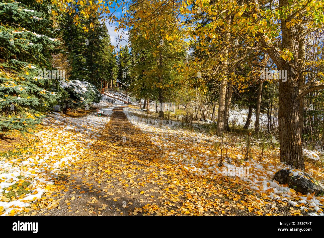 Bow river pathway hi-res stock photography and images - Alamy