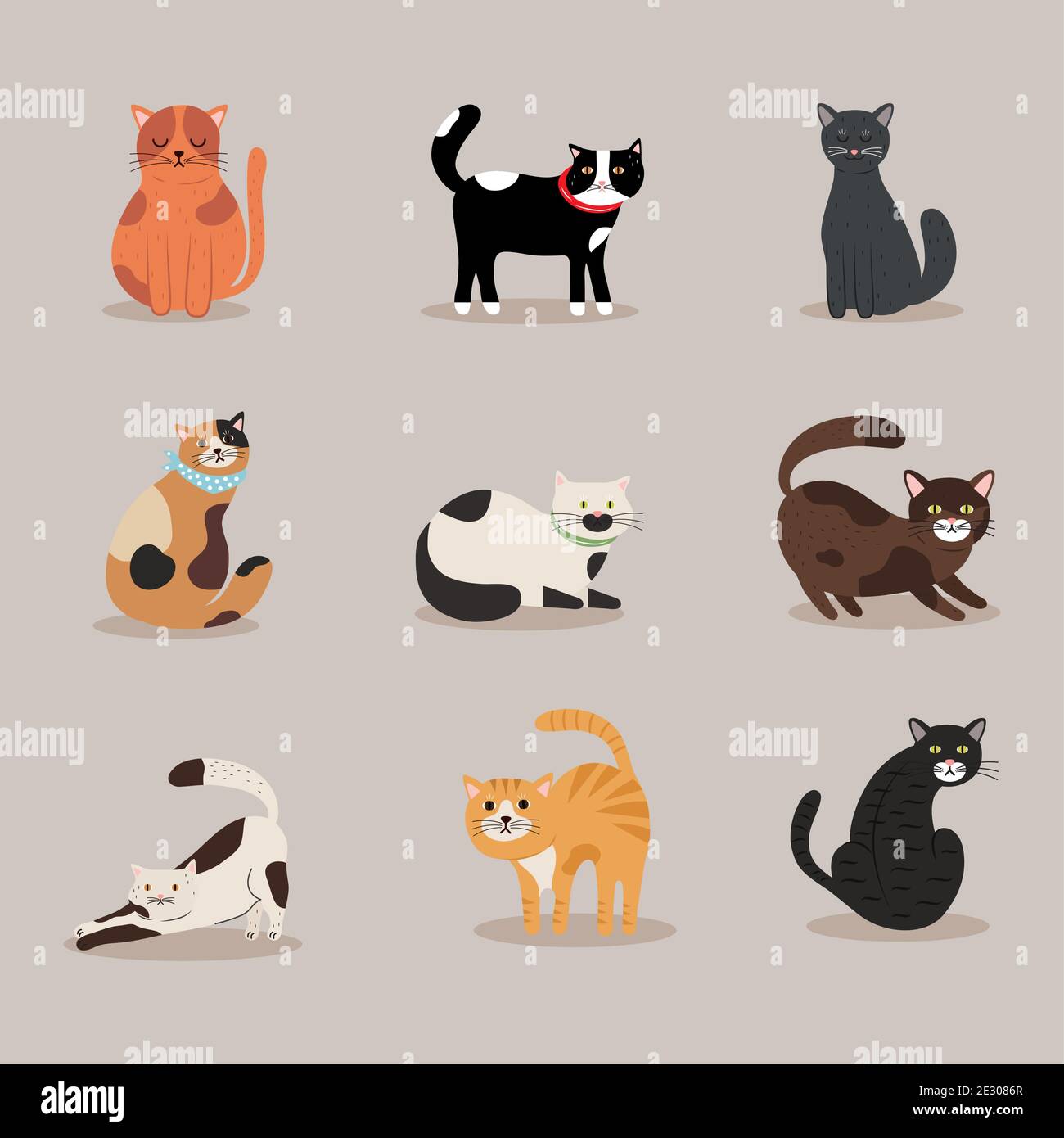 Nine cats hi-res stock photography and images - Alamy