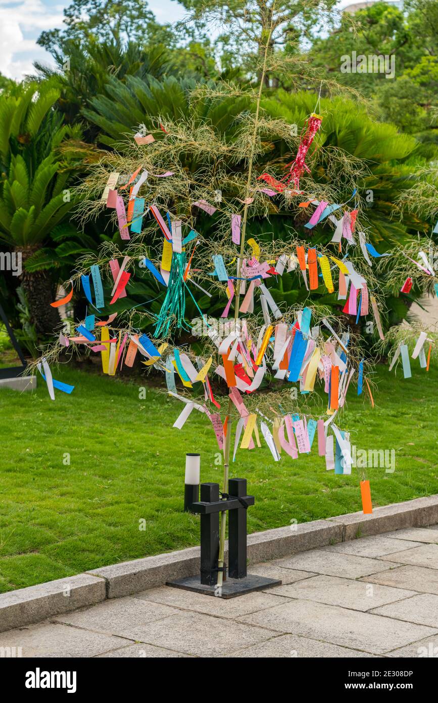 Lucky Tree High Resolution Stock Photography and Images - Alamy