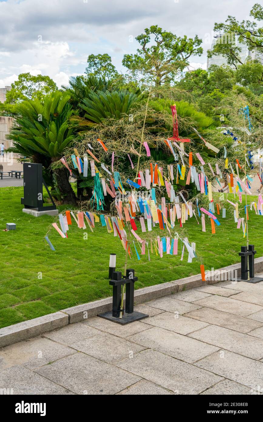Vertical photo of lucky tree at Osaka Castle park Stock Photo - Alamy