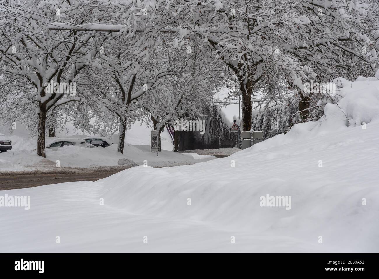 Snowy roads after heavy snowfall with snow covered trees Stock Photo ...