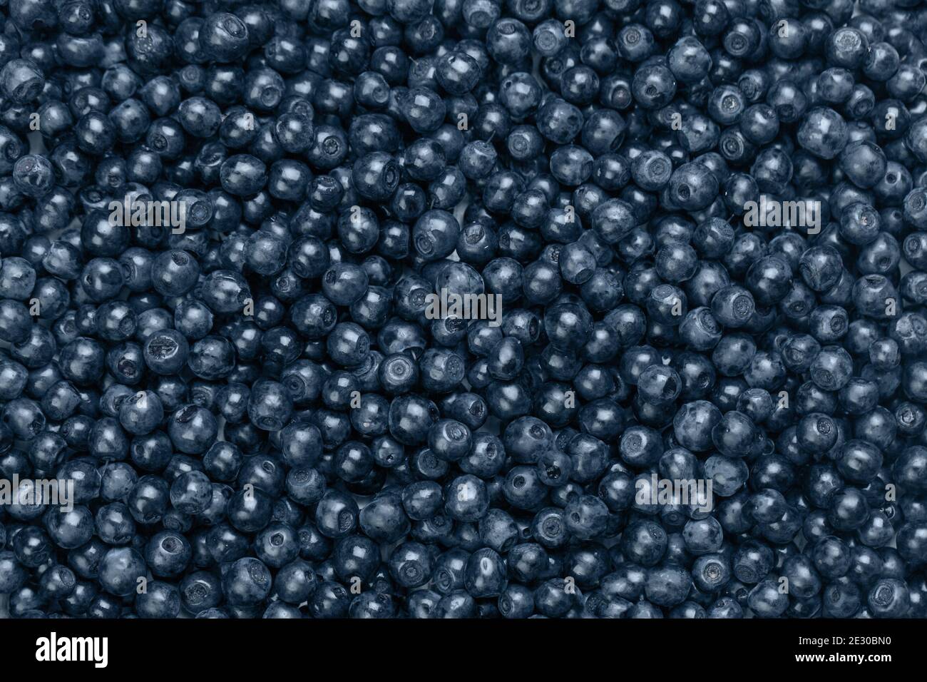 Blueberries background. Healthy eating banner Stock Photo - Alamy