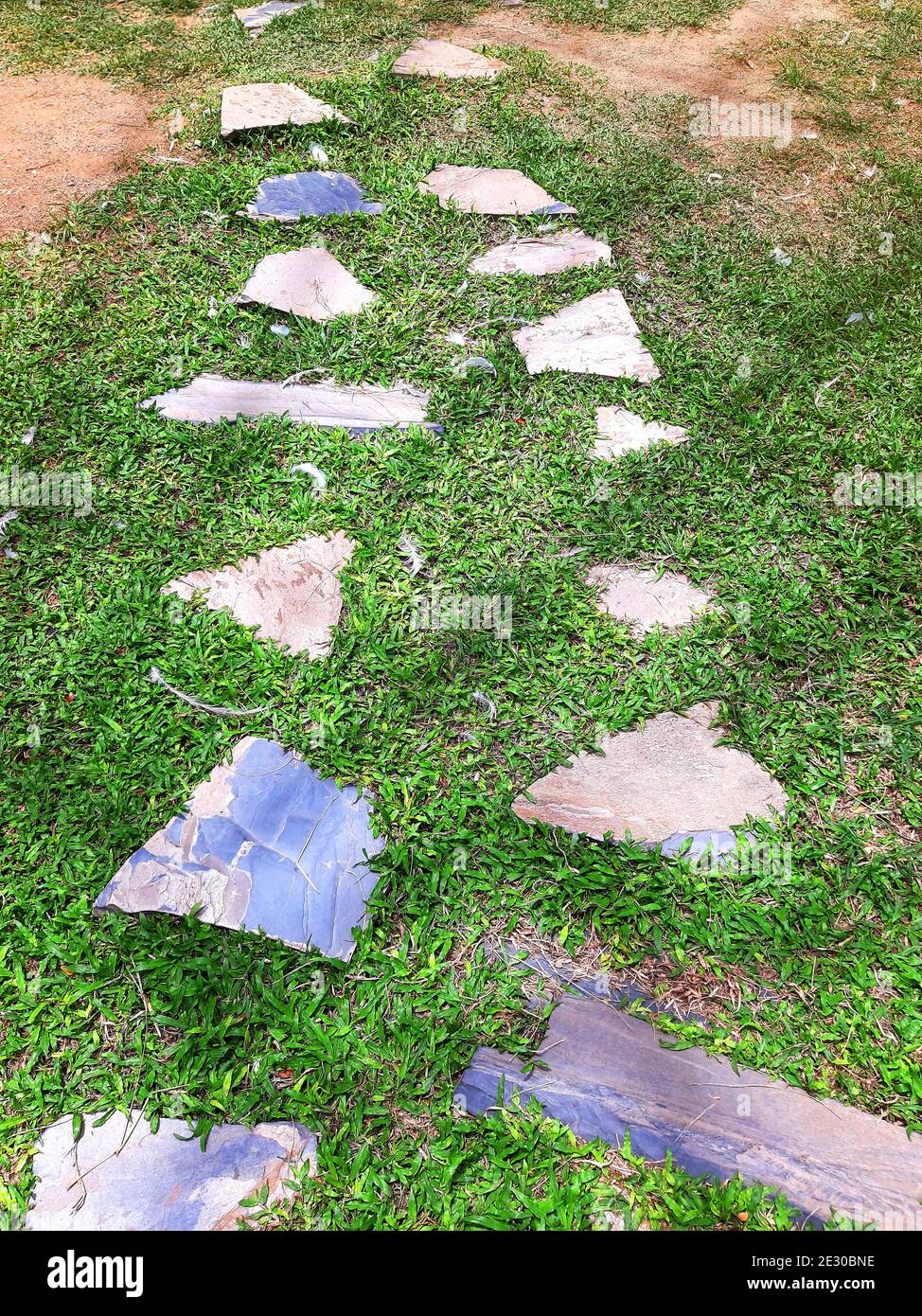 Stone walkway winding in the garden. texture, background. paving stone ...