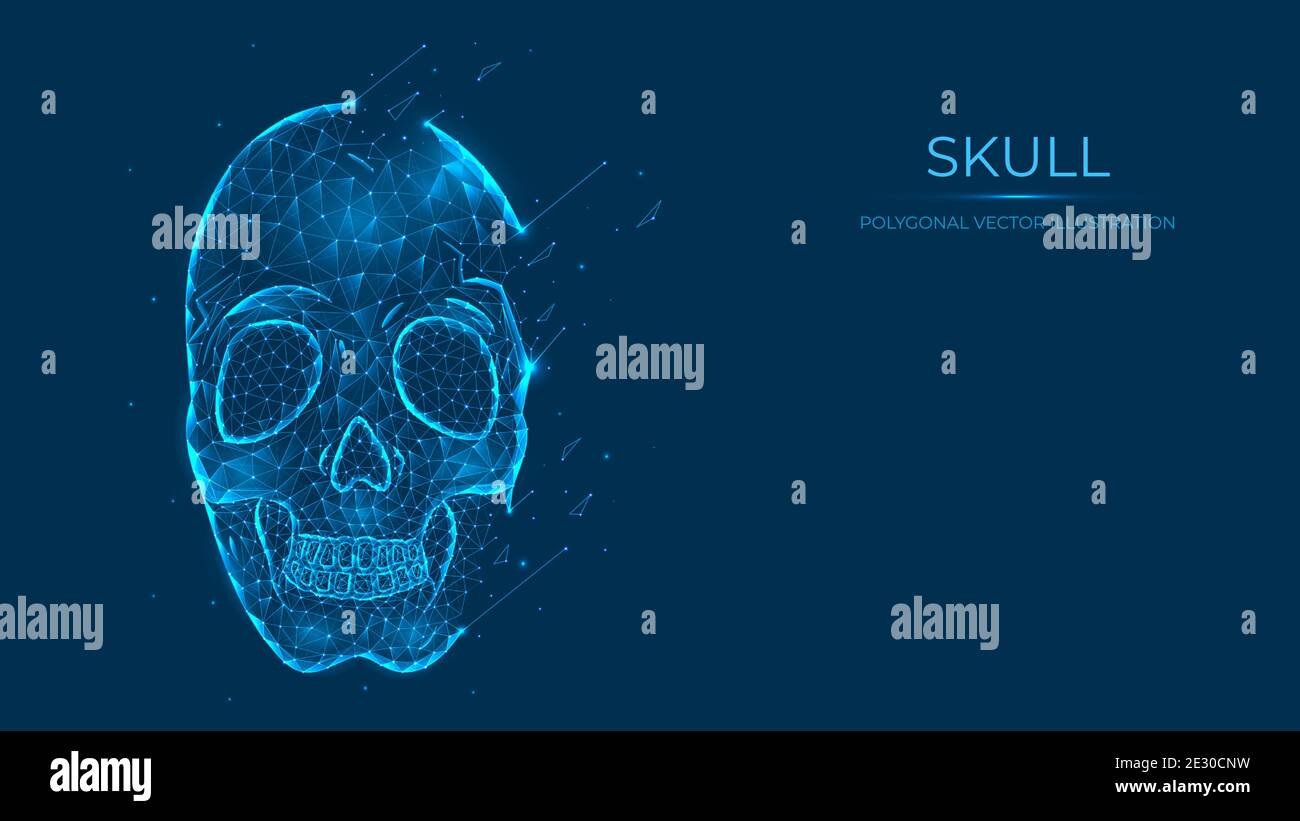 Abstract polygonal human skull made of lines and points isolated on ...