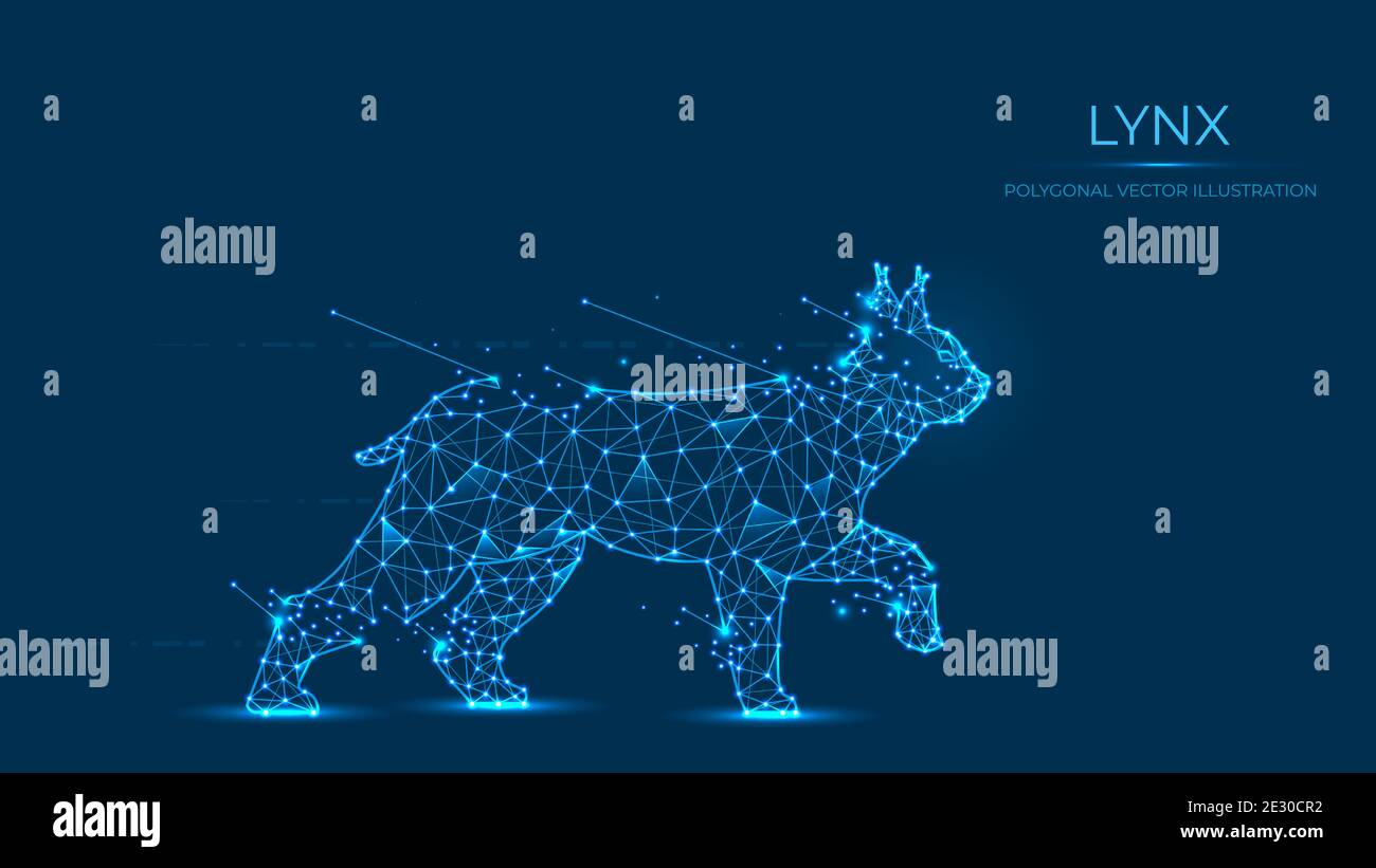 Abstract polygonal lynx made of lines and dots isolated on blue ...