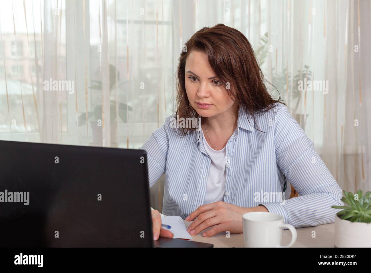 Business woman working at home with a laptop. Remote, home office ...