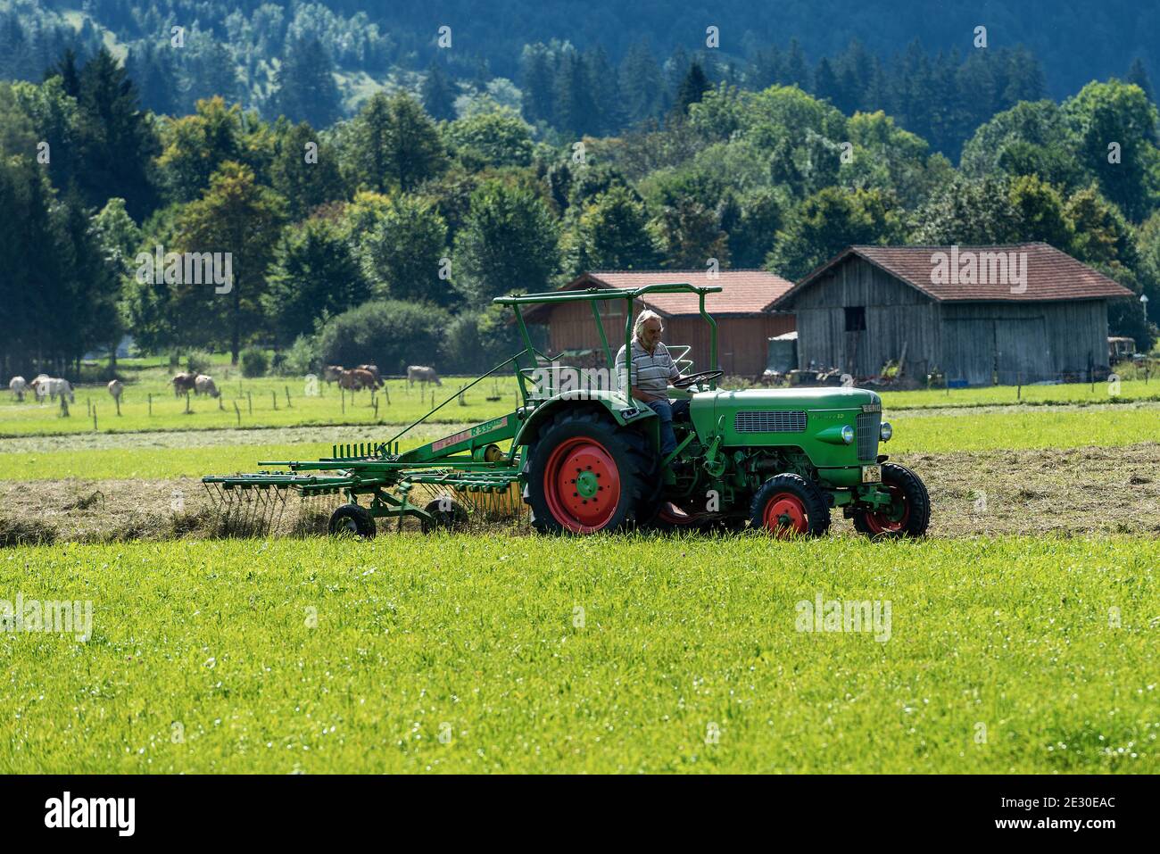 Farmer on tractor with agricultural machine for haymaking, he arranges ...