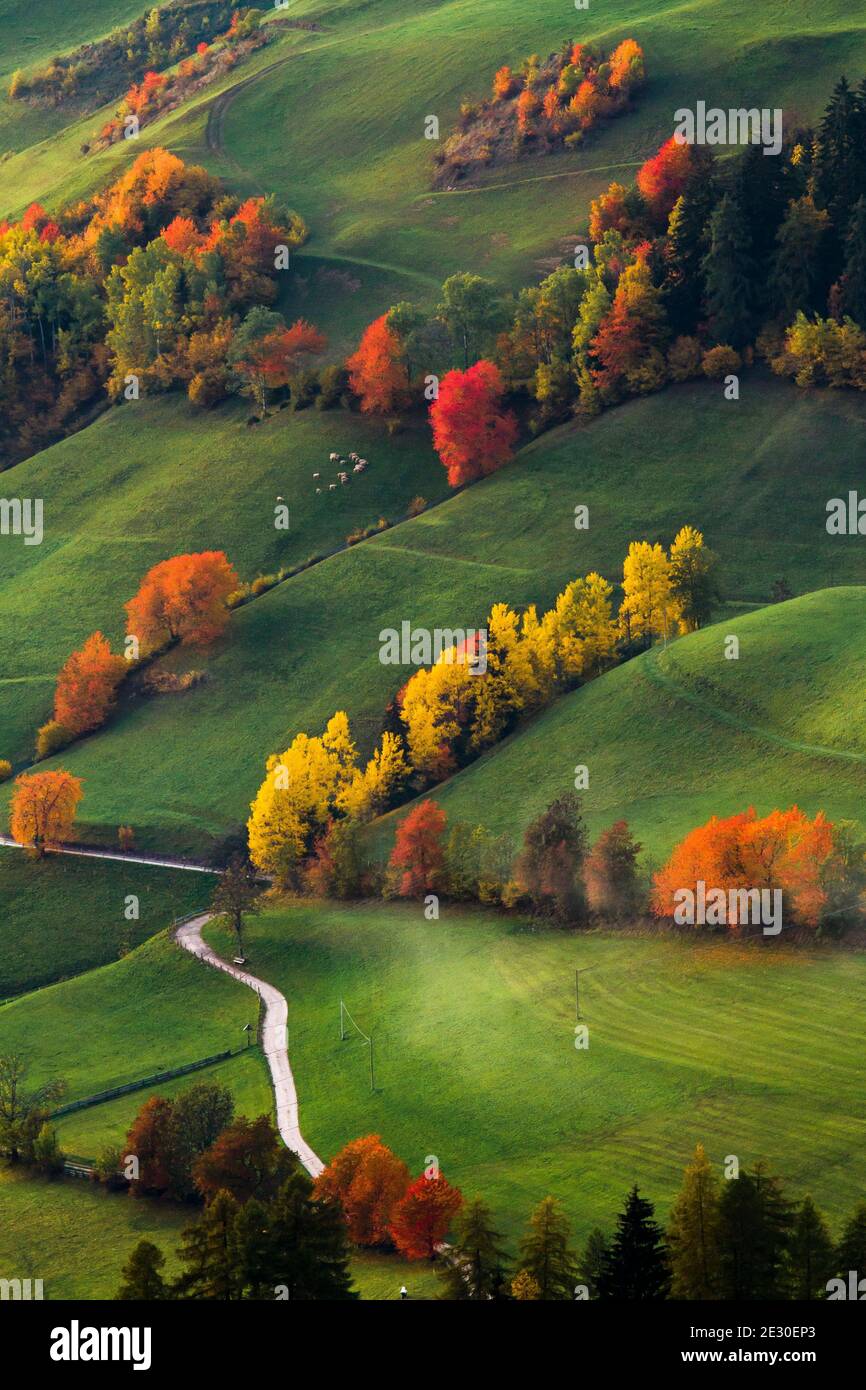 View of the colors of autumn in Funes Valley. Funes Valley, Dolomites ...