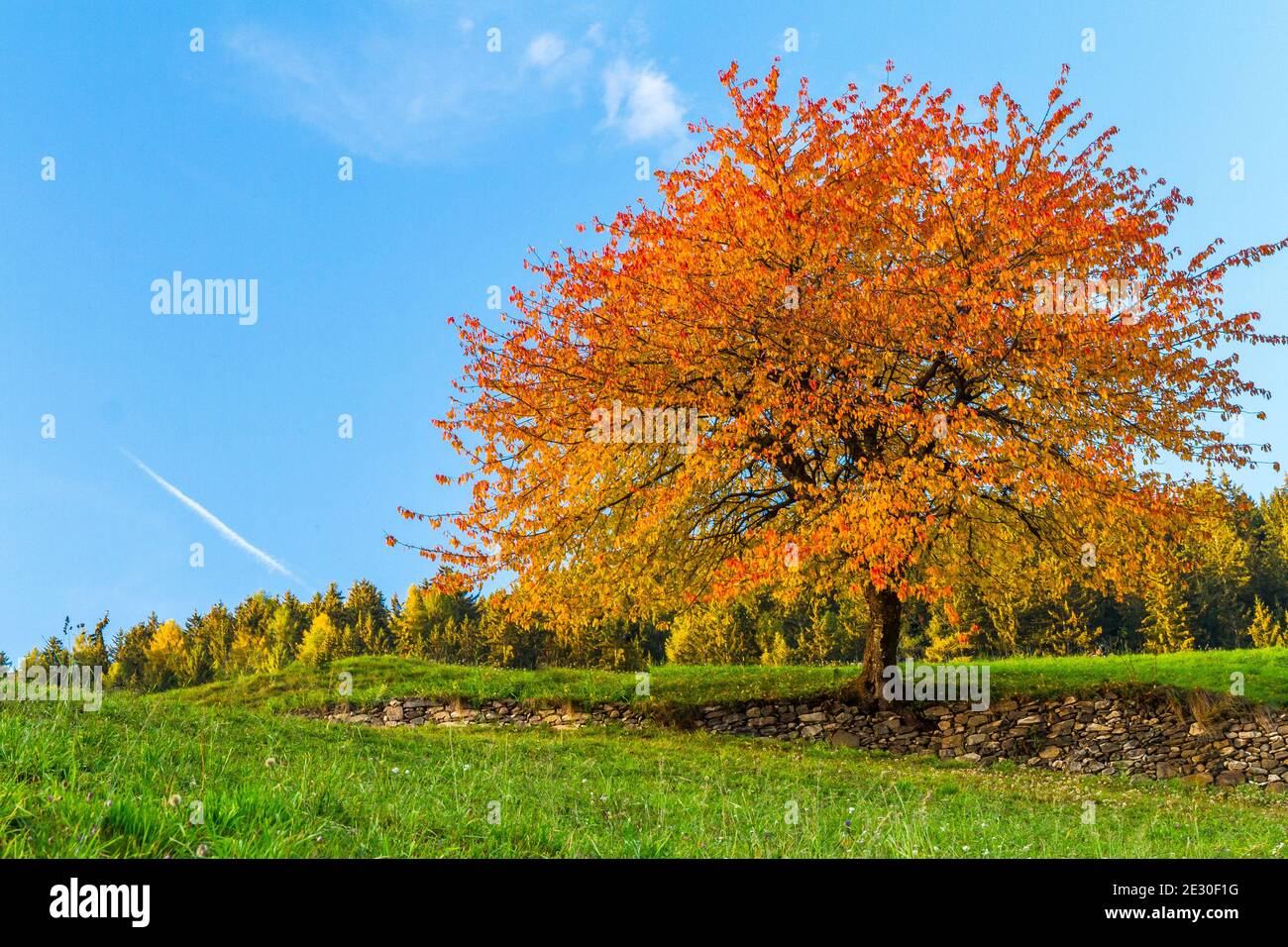 View of the autumnal colors near the town St. Magdalena. Funes Valley ...