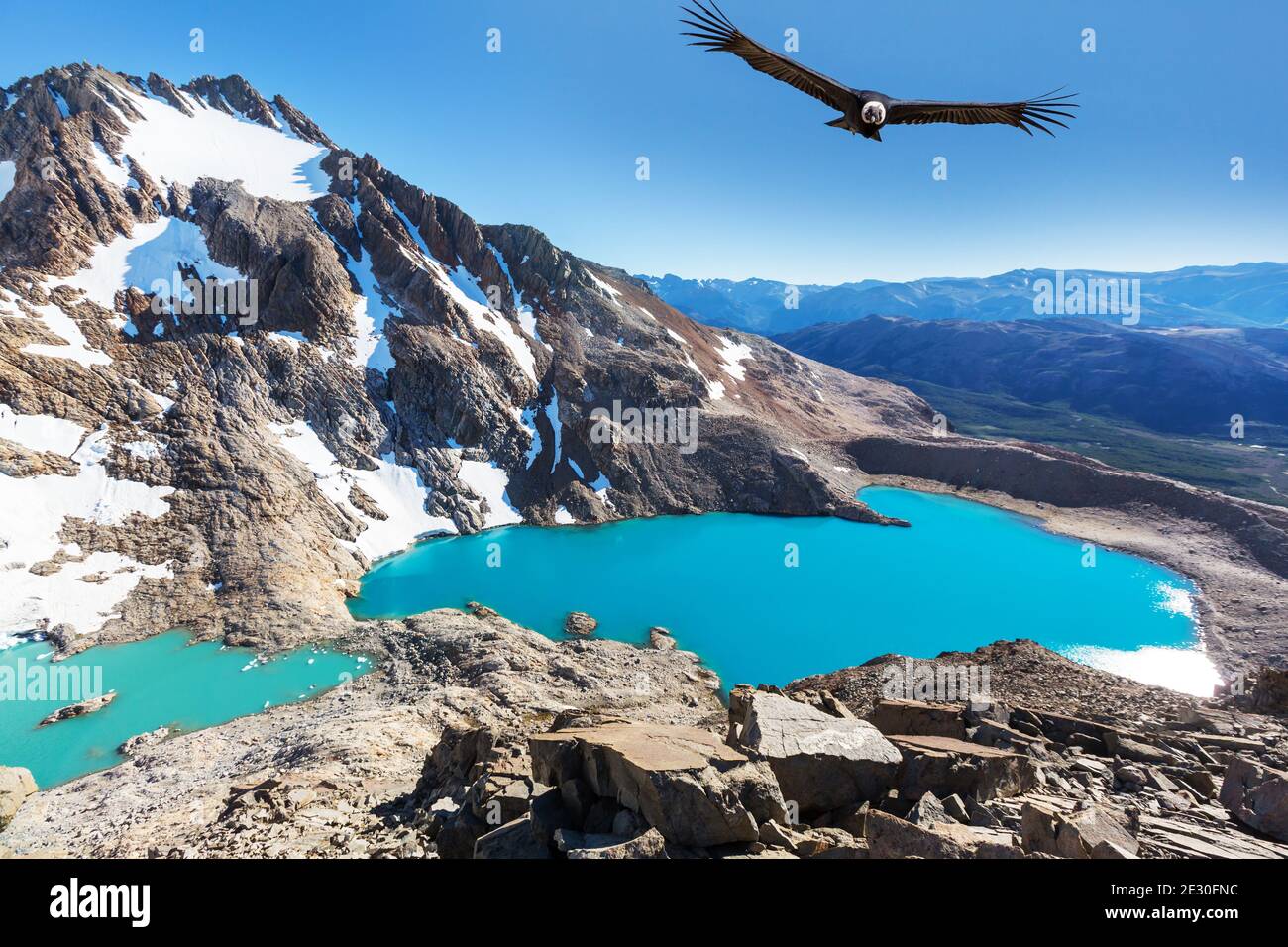 Andean Condor flying over mountains, Patagonia, Argentina Stock Photo ...