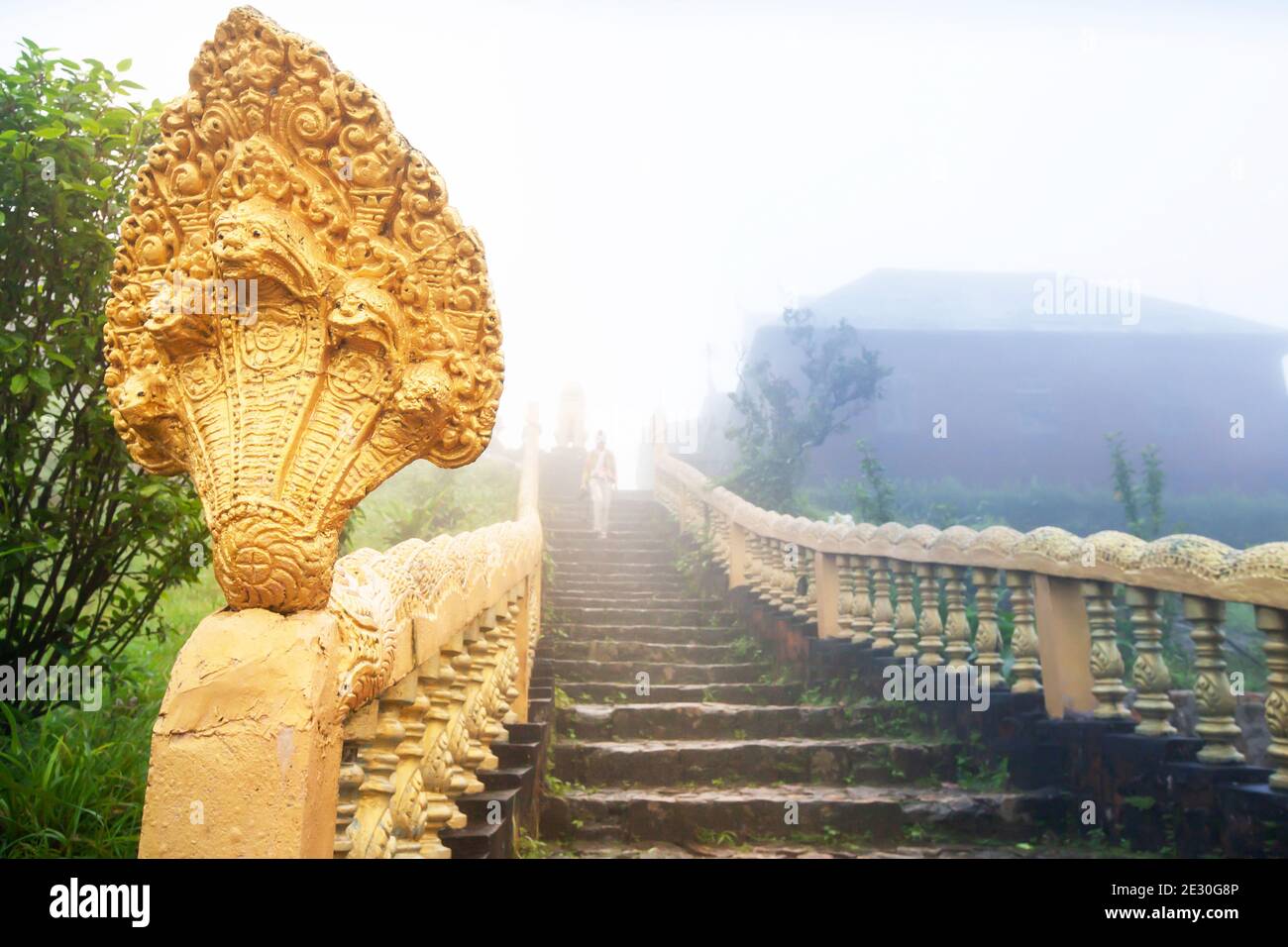 Real Naga From Island Of Fog Book