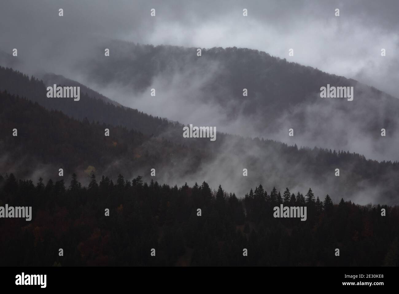 Autumnal forests of Velka Fatra national park, central Slovakia Stock ...