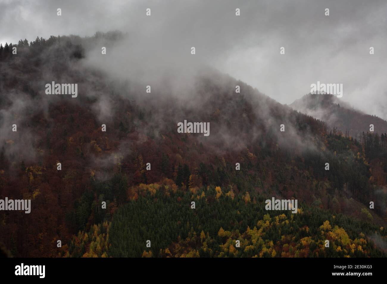 Autumnal forests of Velka Fatra national park, central Slovakia Stock ...