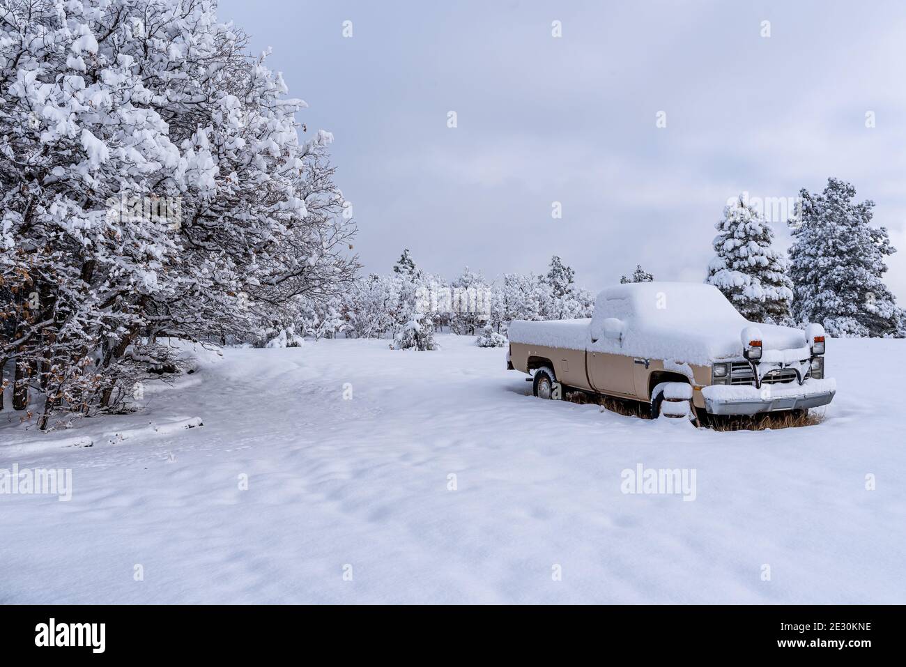 Snow white truck hi-res stock photography and images - Alamy