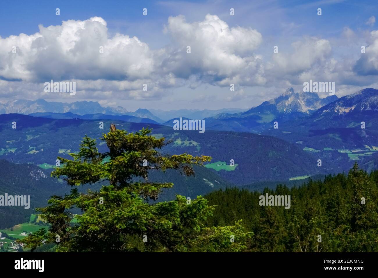 single green tree and beautiful view to a mountain landscape Stock ...