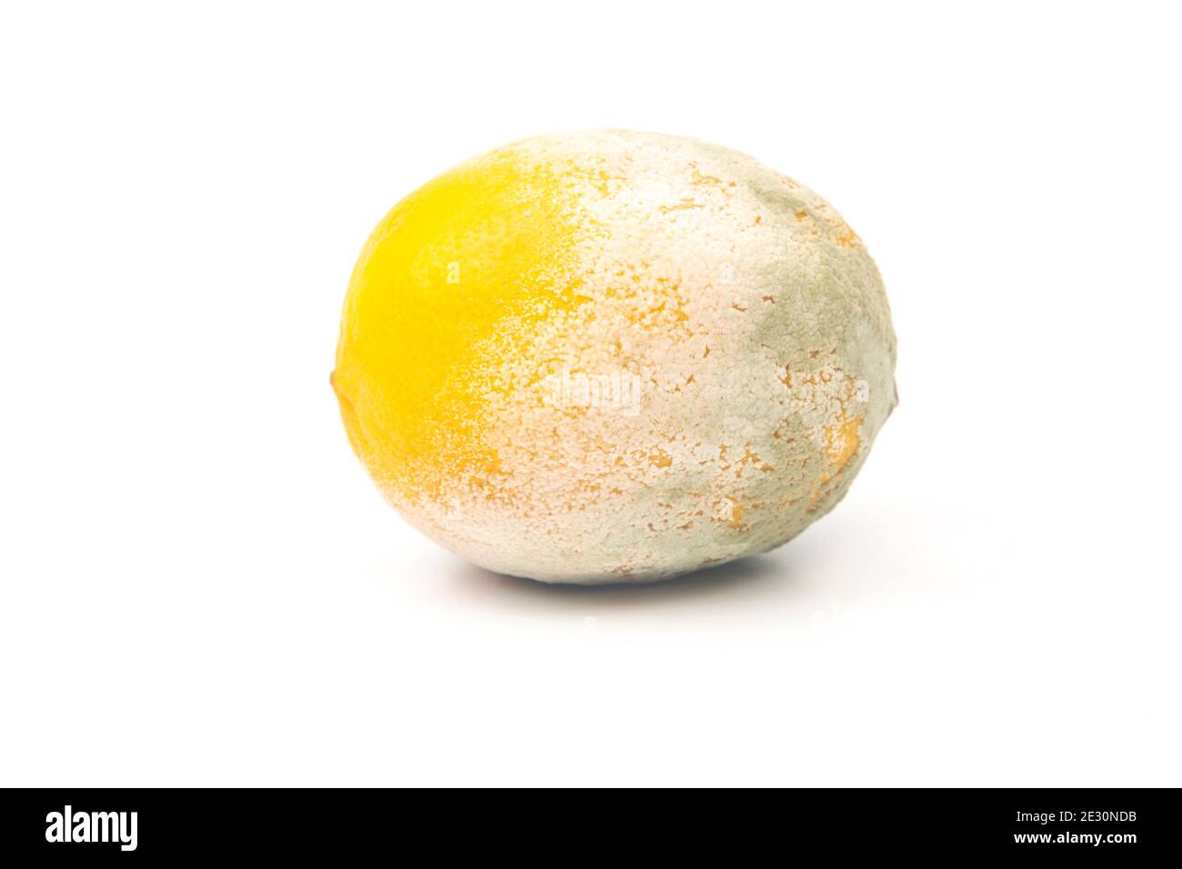 Rotten lemon on a white background Stock Photo - Alamy