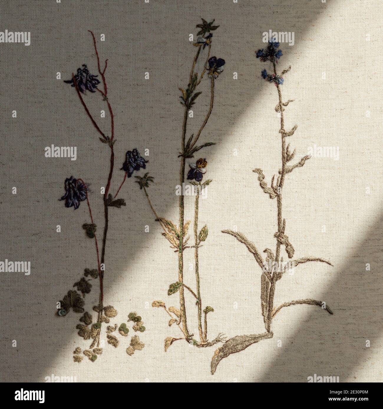 Couture embroidery of flowers. Still life by Durer with columbine ...