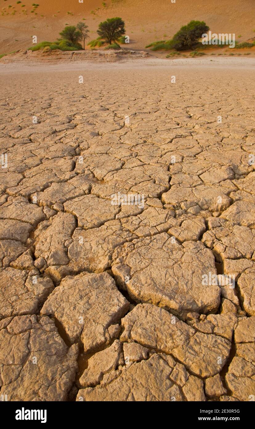 Sossus Vlei Sesriem Desierto Namib Namibia Africa Stock Photo - Alamy