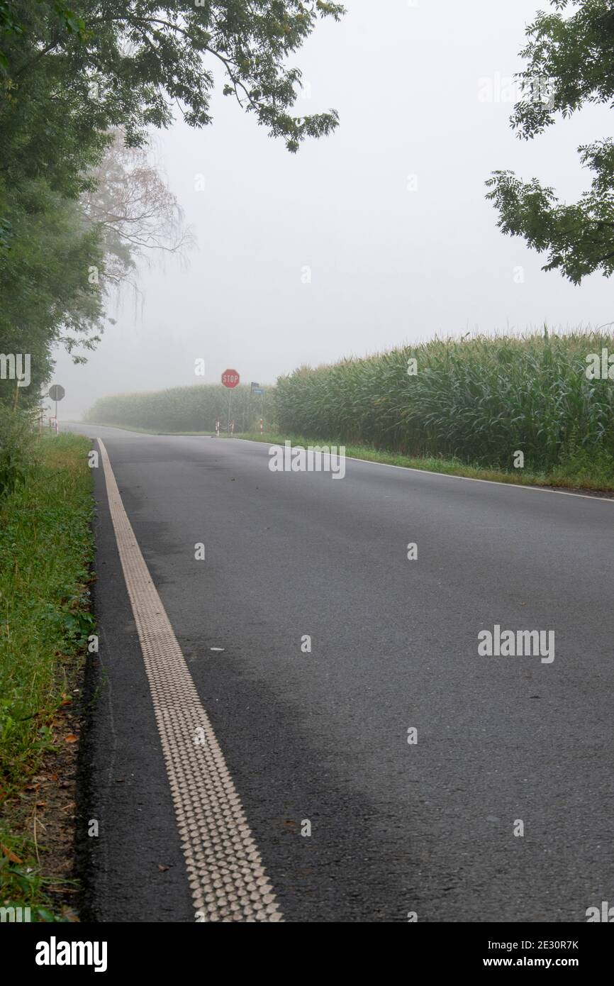 Country road with cornfield hi-res stock photography and images - Alamy