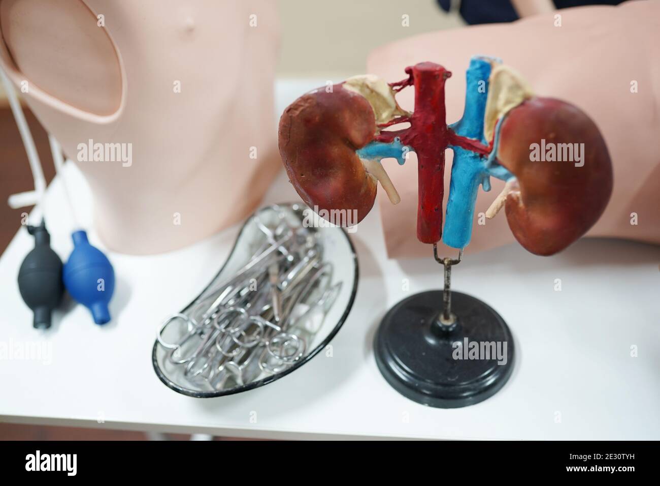medicine equipment in the laboratory , medical exam Stock Photo - Alamy