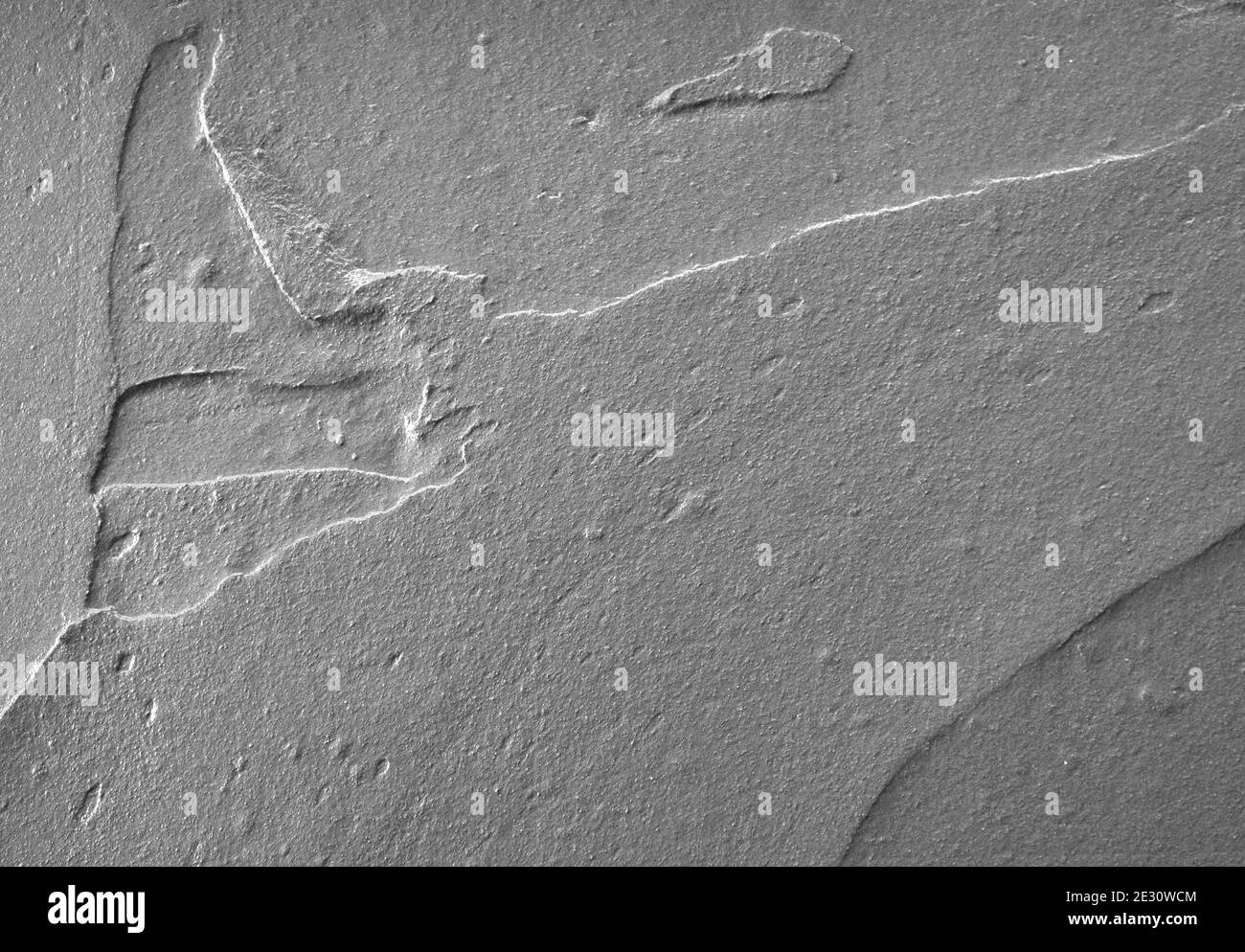 Rough concrete surface. Texture of fresh concrete wall or mortar on ...