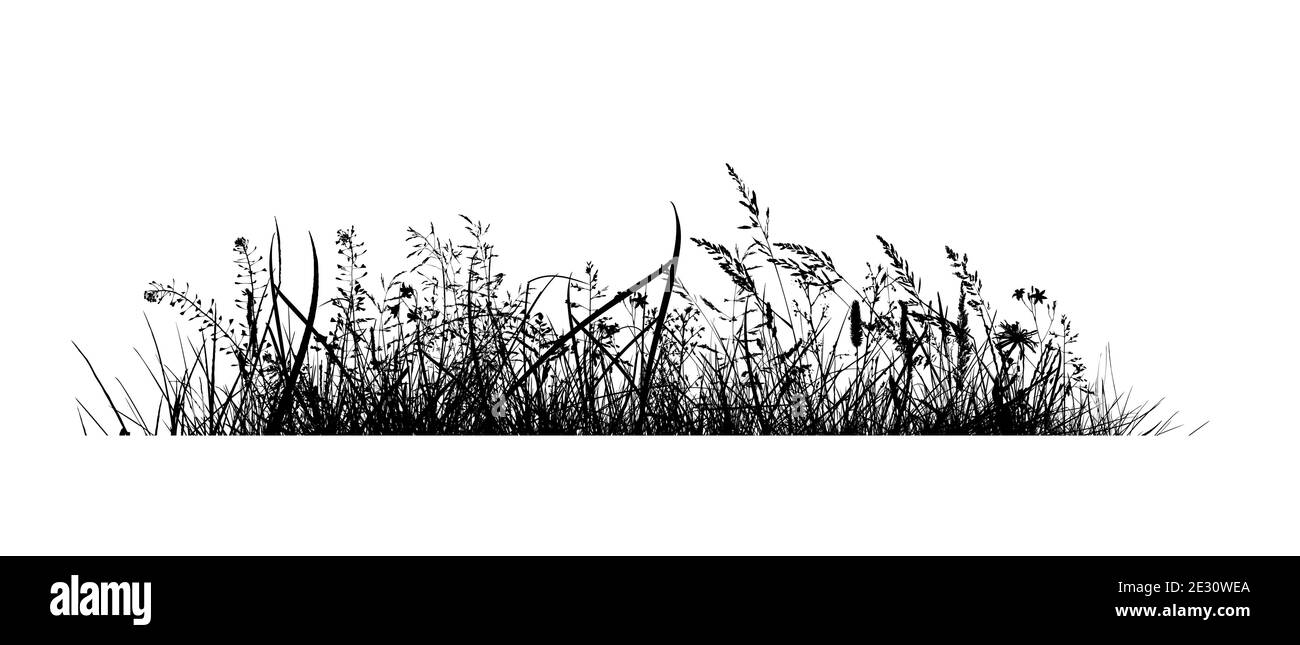 Prairie Grass Silhouette