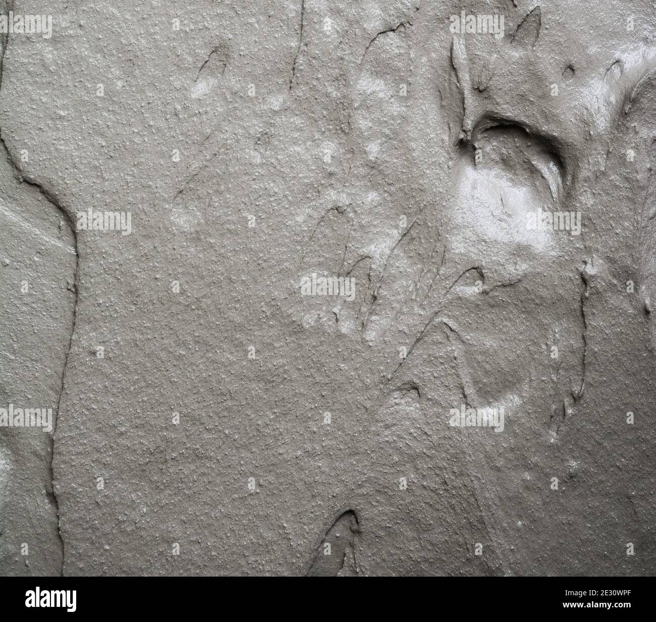 Rough concrete surface. Texture of fresh concrete wall or mortar on ...