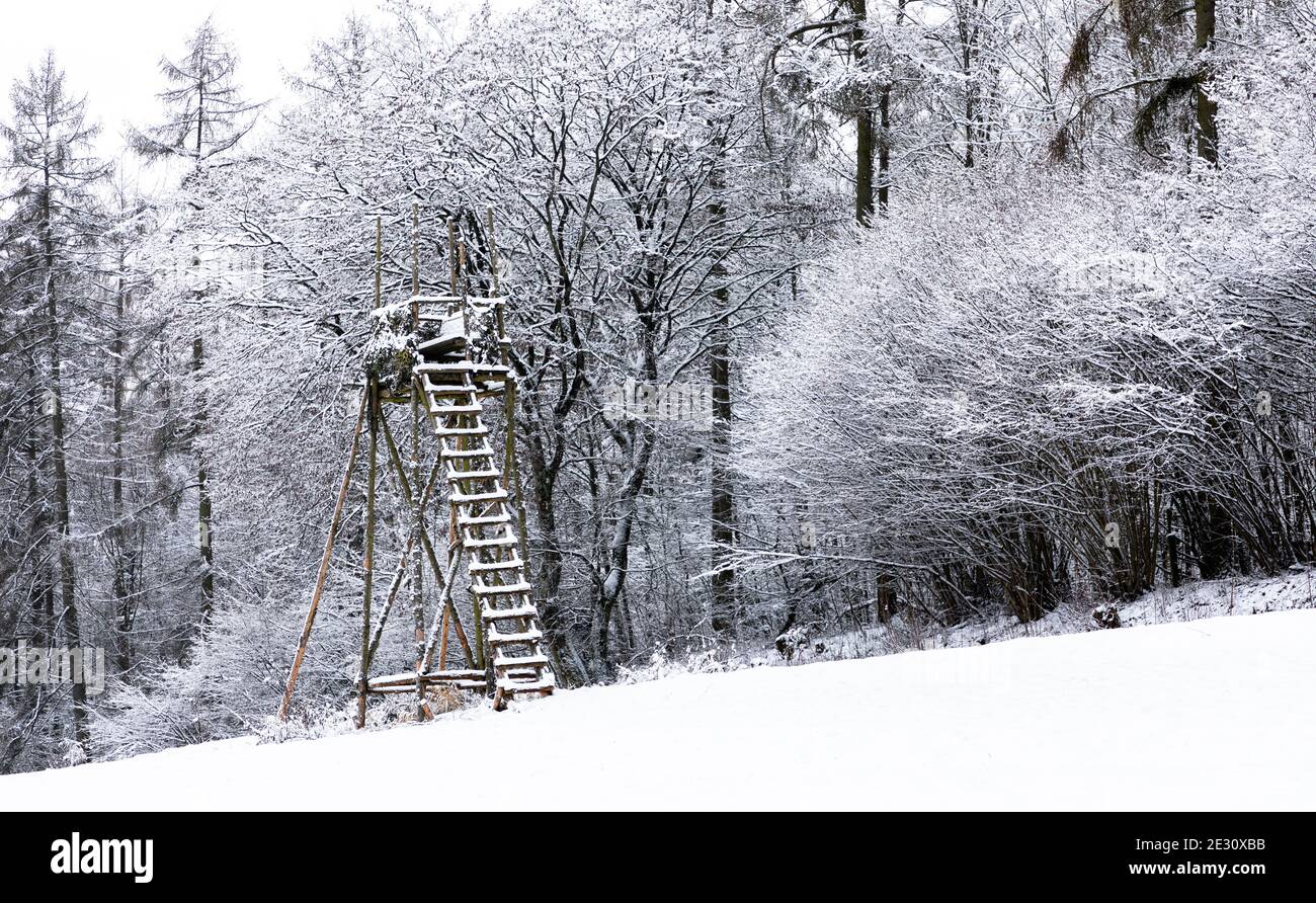 Hide in woodland hi-res stock photography and images - Alamy