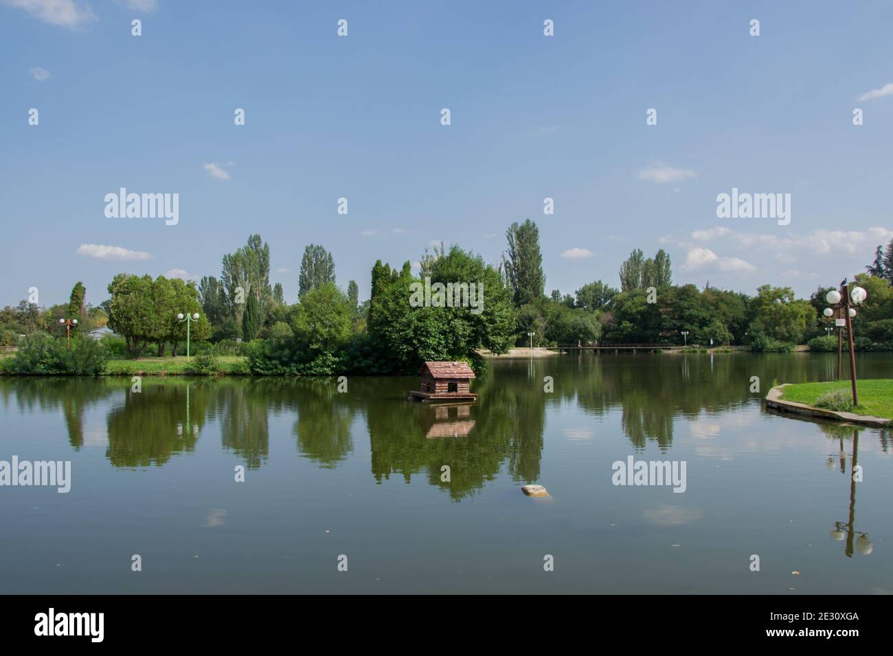 Beautiful peaceful nature, trees and plants on a lake, floating bird ...