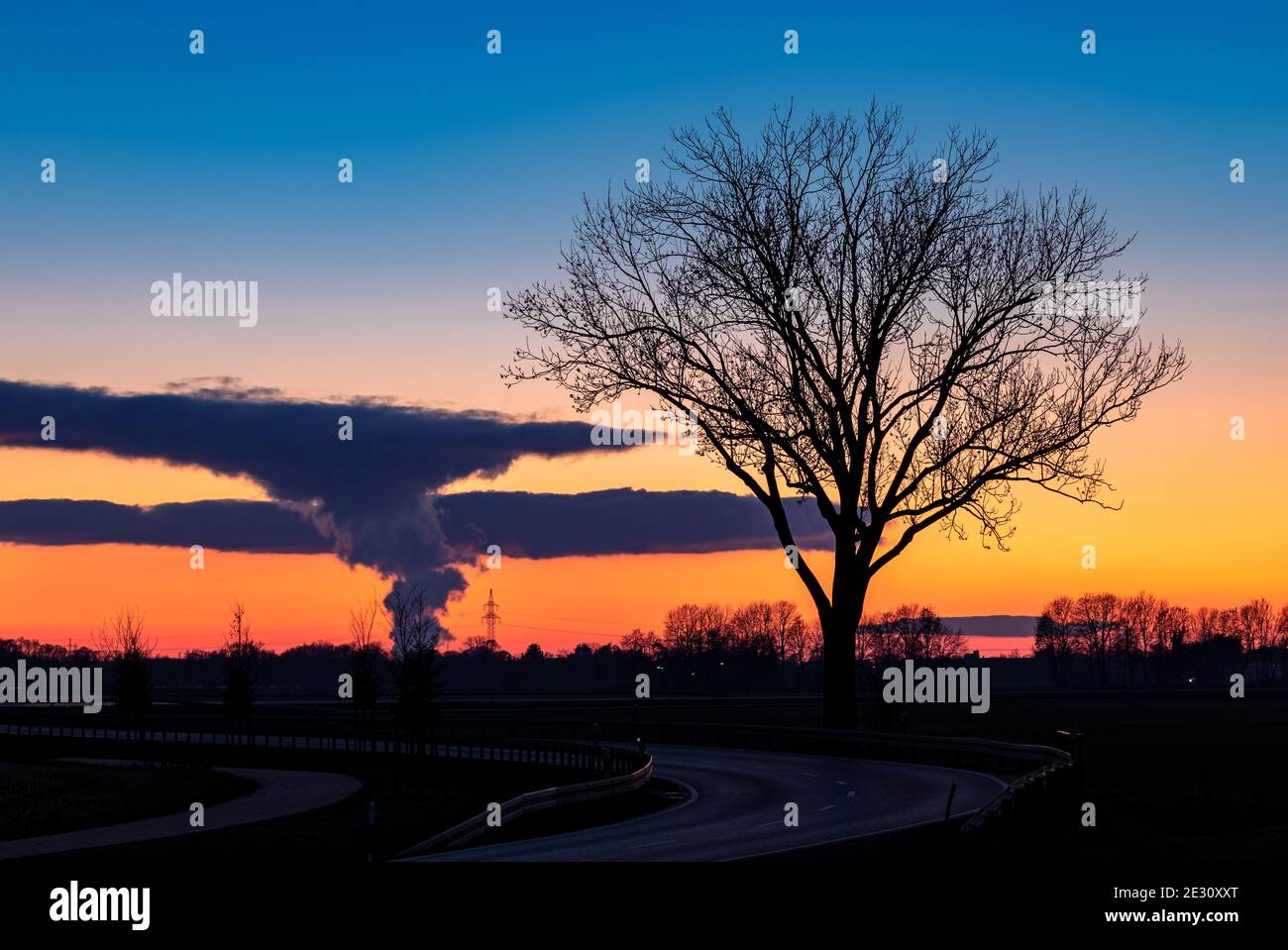 Tree at dusk in front of phantastic steam clouds of a power plant Stock ...