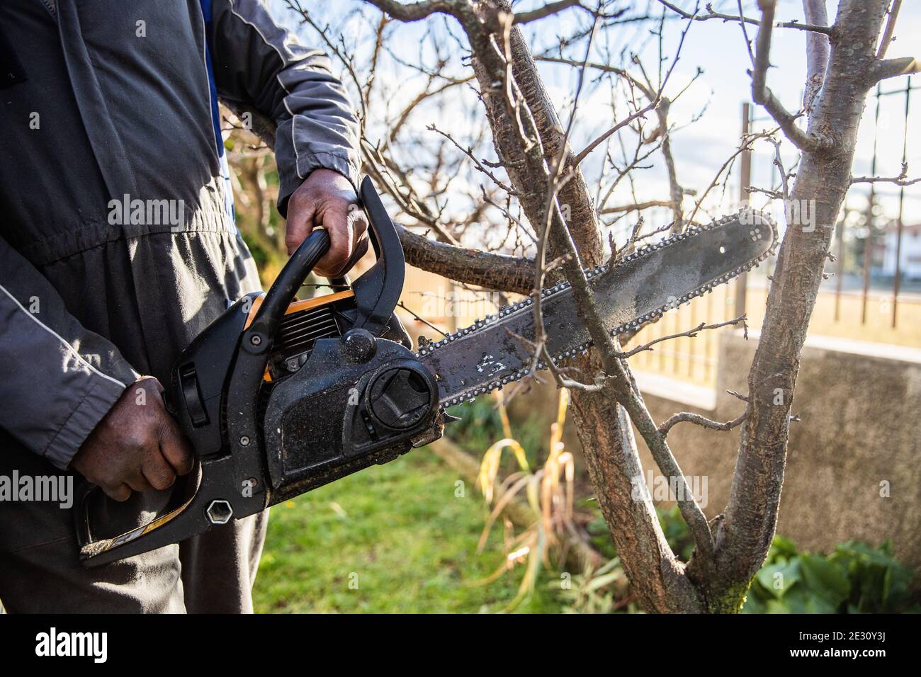 Branch cutter hi-res stock photography and images - Alamy
