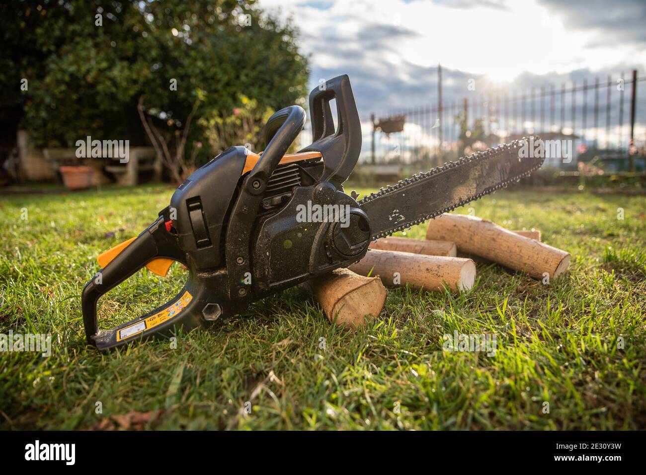 Chainsaw cut saw sawdust tree wood firewood hi-res stock photography ...