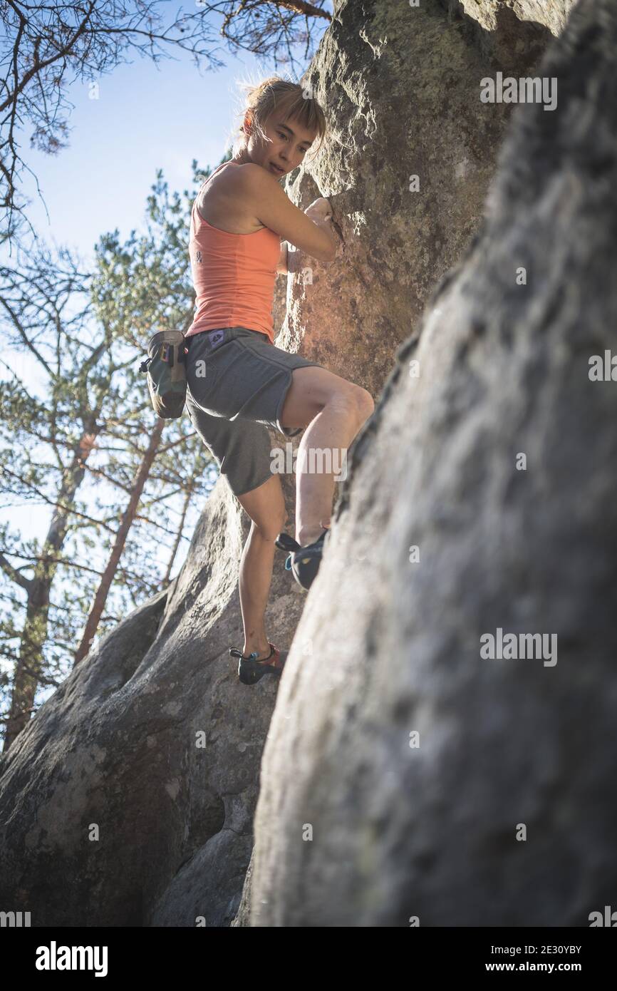 A female climber bouldering outdoors in the sunshine on the sandstone ...