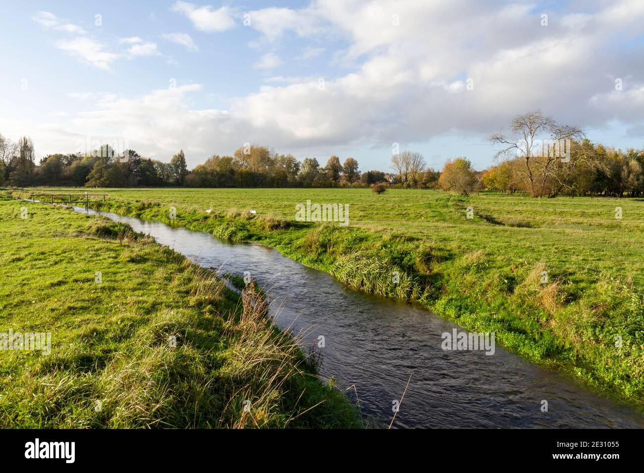 Harnham water meadows salisbury hi-res stock photography and images - Alamy