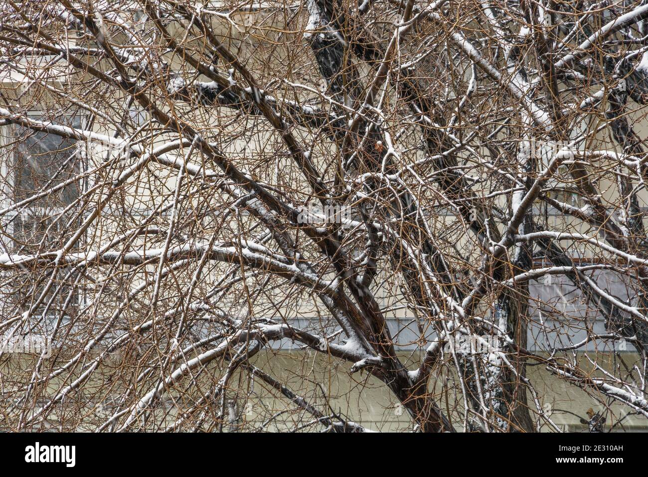 Heavy snowfall on residential area hi-res stock photography and images ...