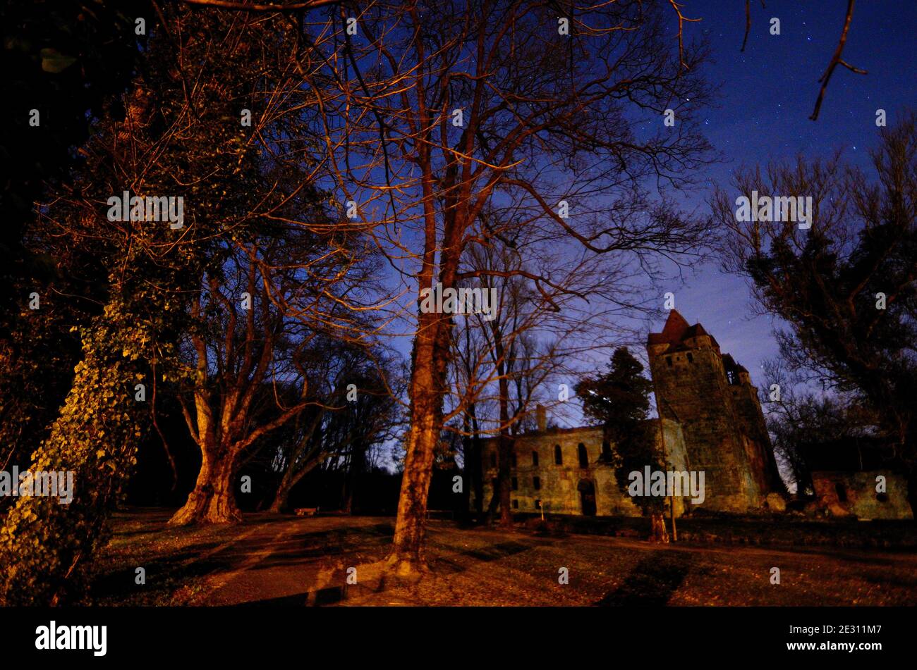 old beautiful castle with trees and many stars Stock Photo - Alamy