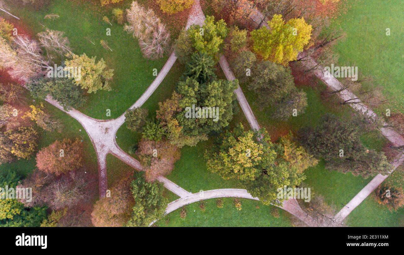 Drop down view of many trails running through trees in a park Stock ...