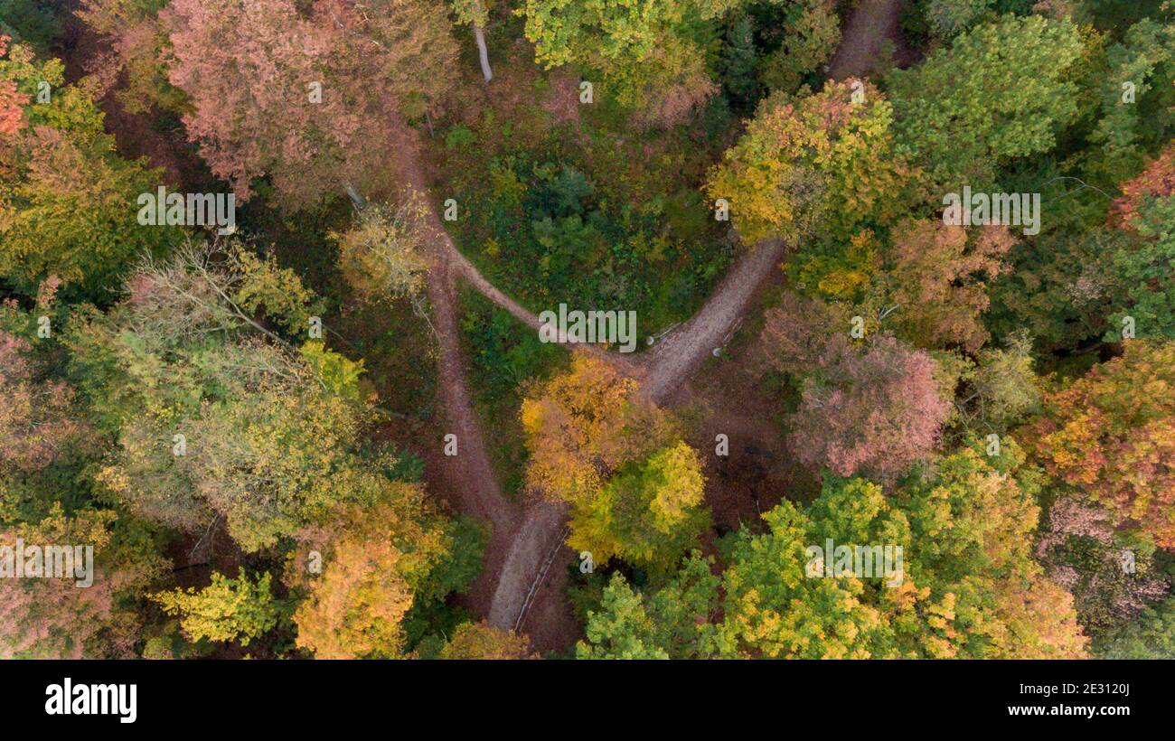 Drop down view of many trails running through trees in a park Stock ...