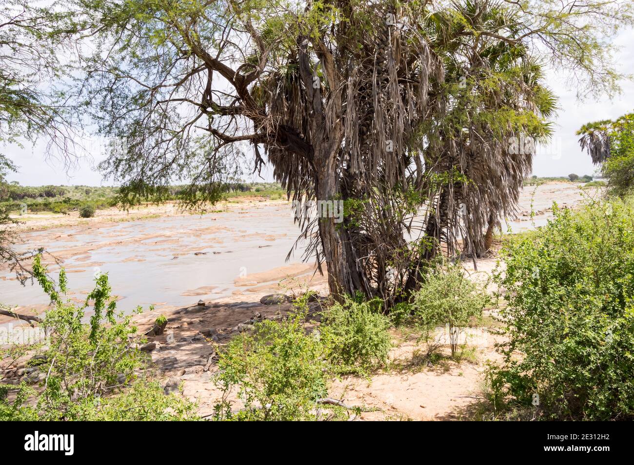 Galana river hi-res stock photography and images - Alamy
