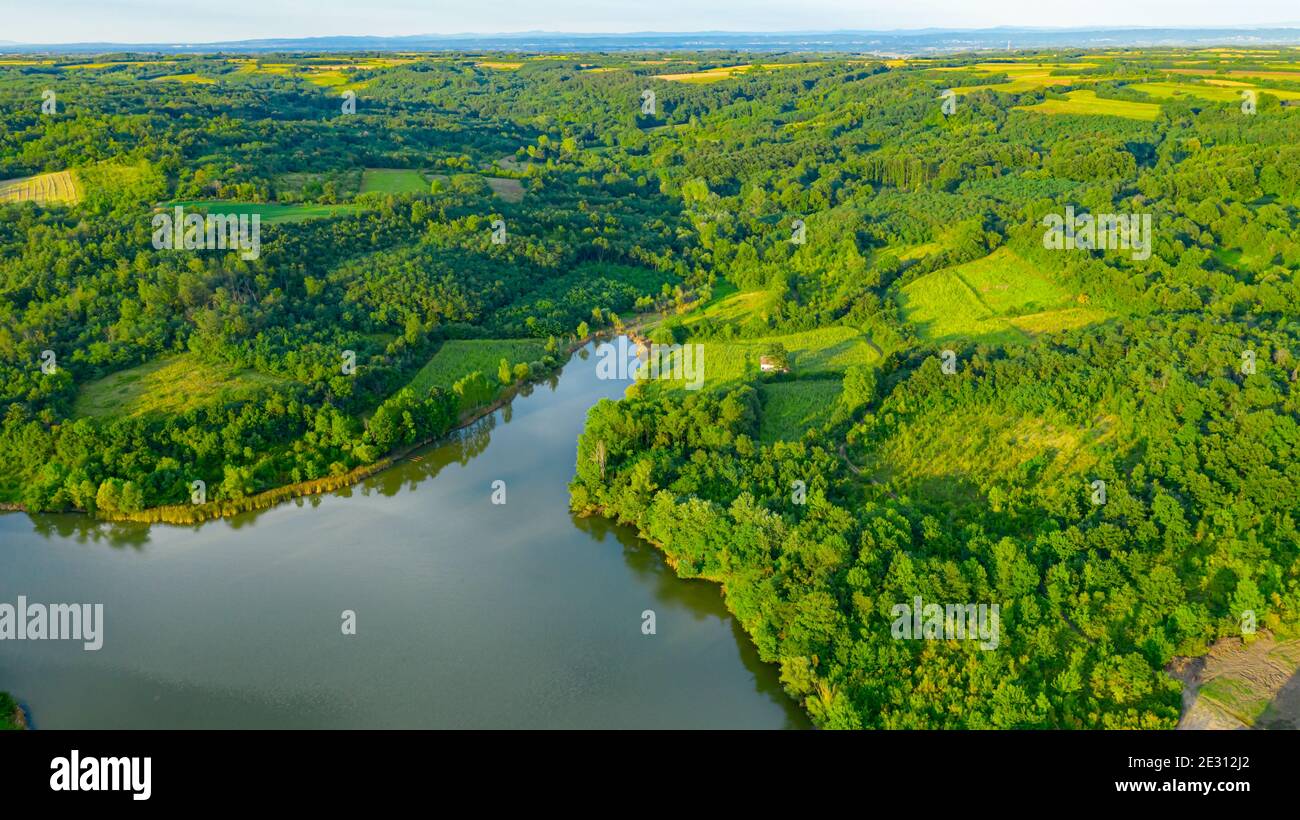 Aerial treetop tree trees canopy hi-res stock photography and images ...