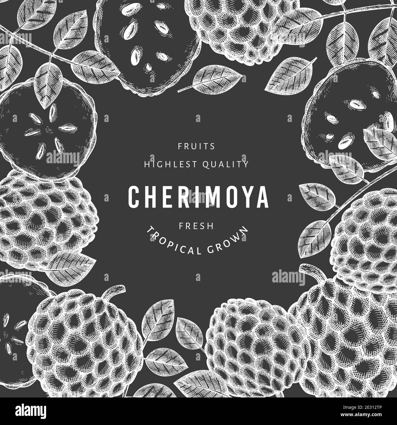 Hand drawn sketch style cherimoya banner. Organic fresh fruit vector ...