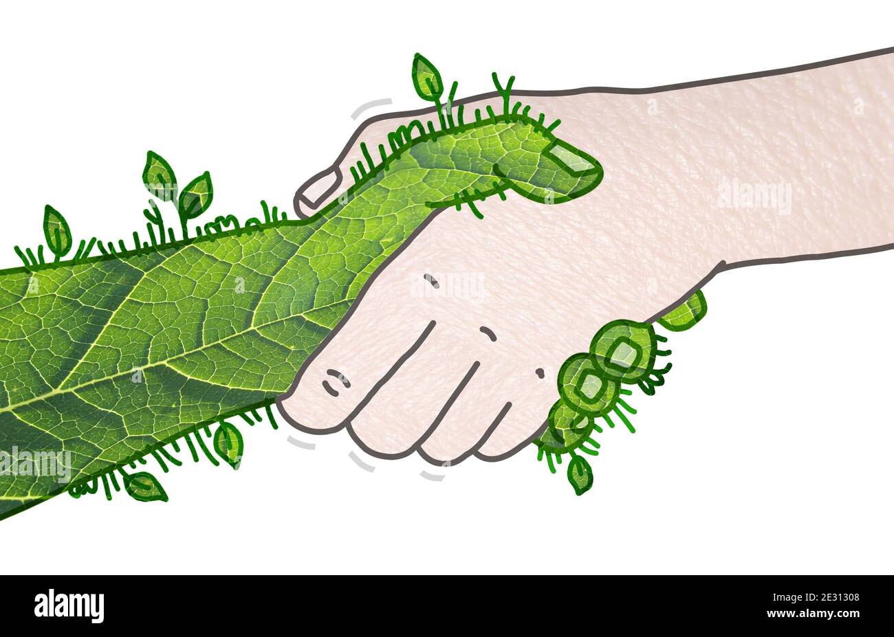 Hand drawn Human and green Nature shaking Hands - collage Stock Photo ...
