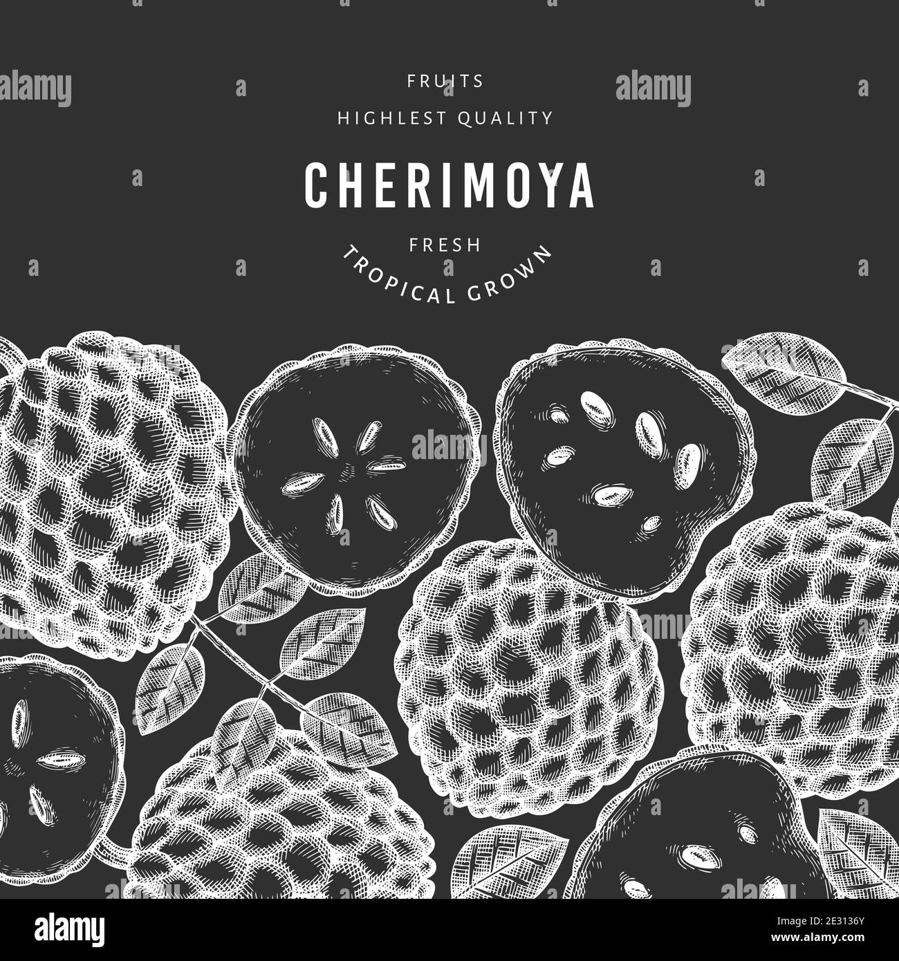 Hand drawn sketch style cherimoya banner. Organic fresh fruit vector ...