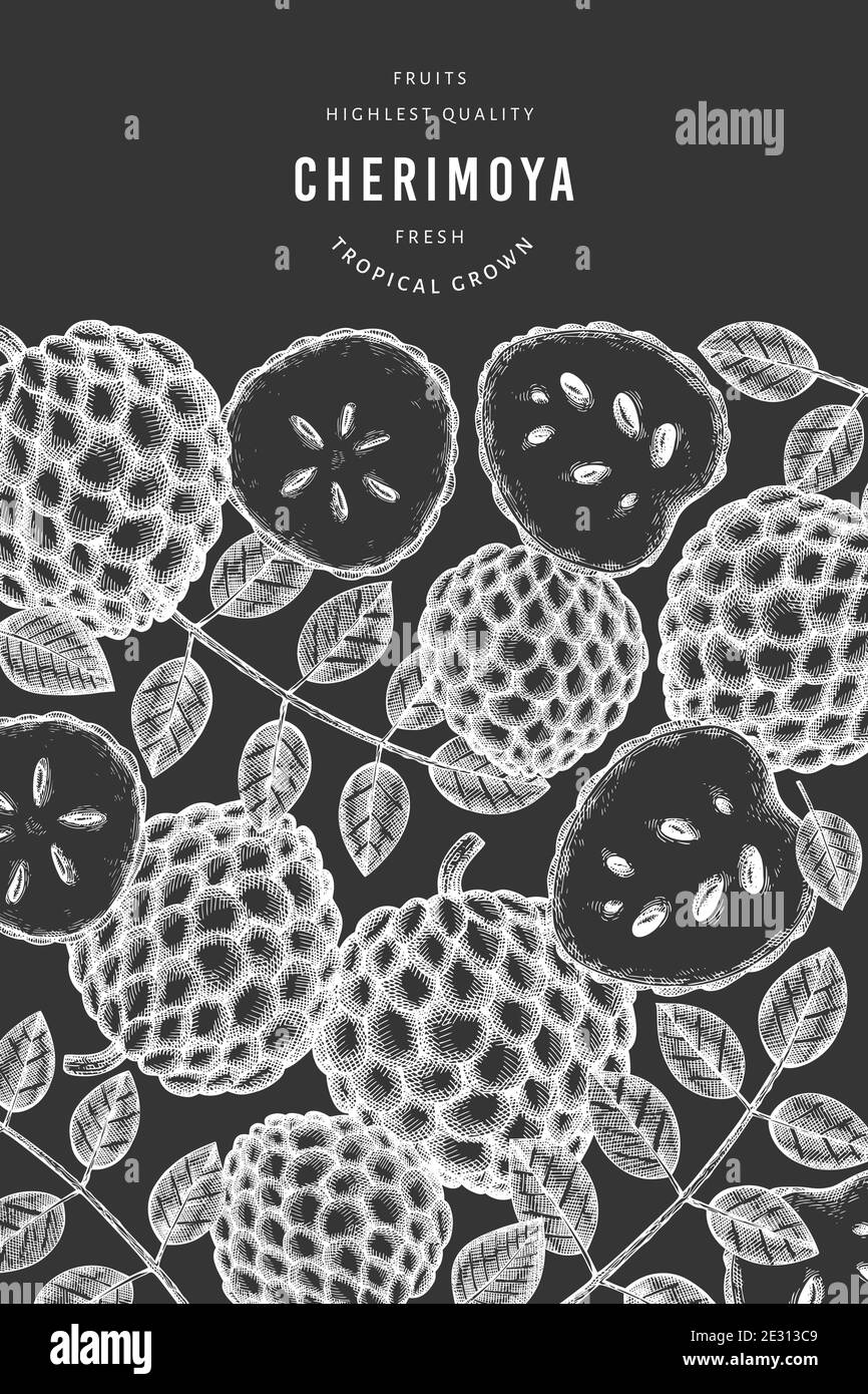Hand drawn sketch style cherimoya banner. Organic fresh fruit vector ...