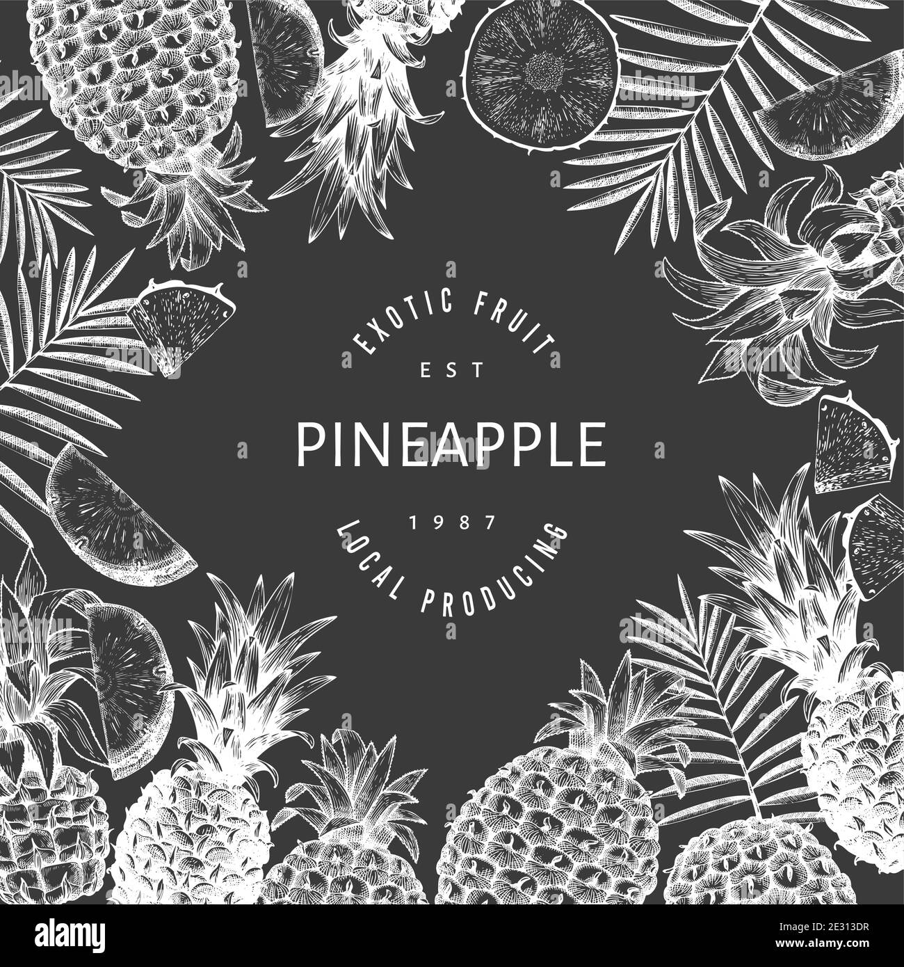 Hand drawn sketch style pineapple banner. Organic fresh fruit vector ...