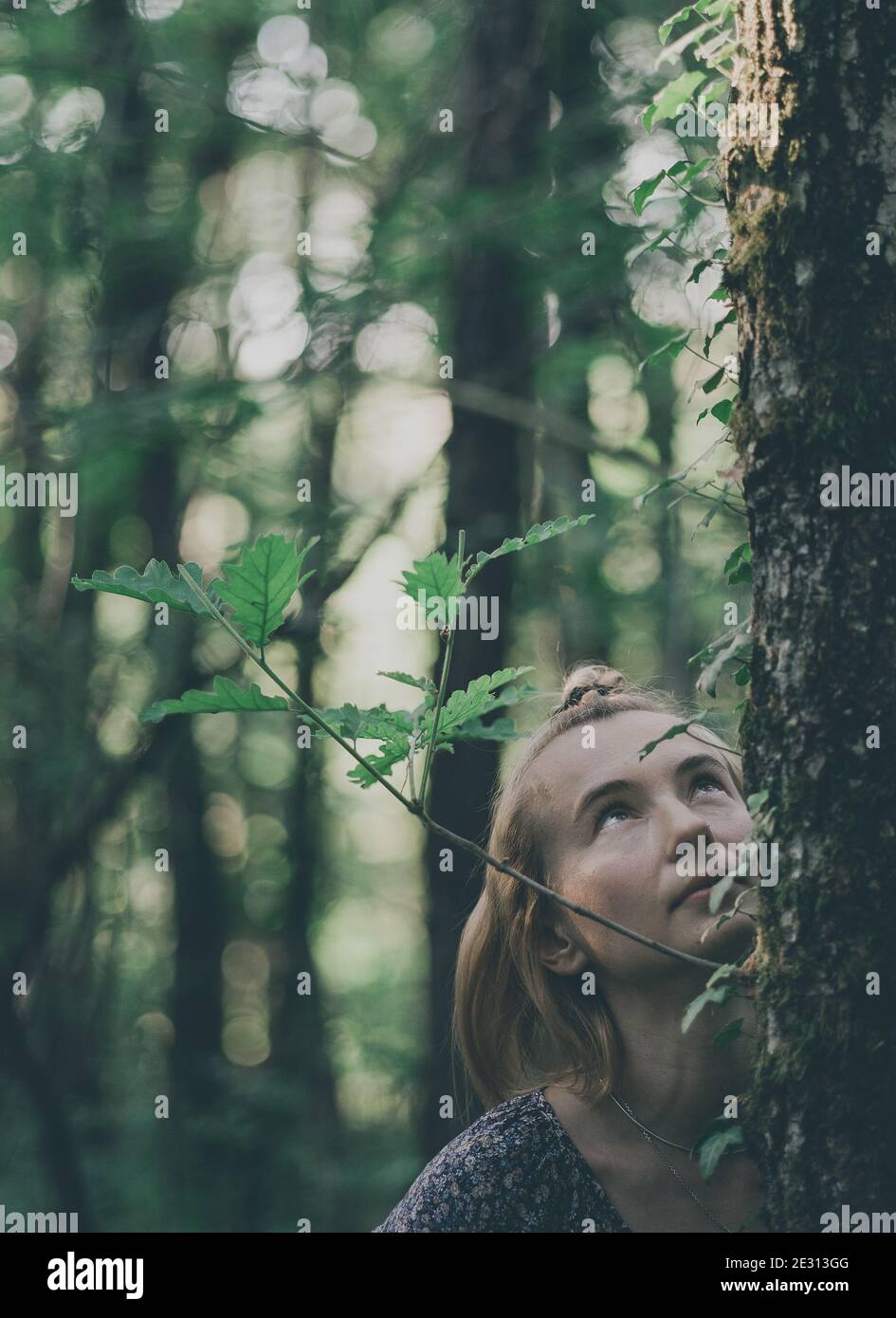 Woman up in a tree hi-res stock photography and images - Alamy