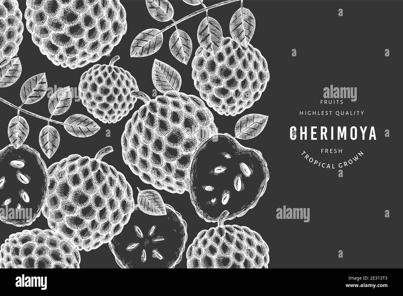 Hand drawn sketch style cherimoya banner. Organic fresh fruit vector ...